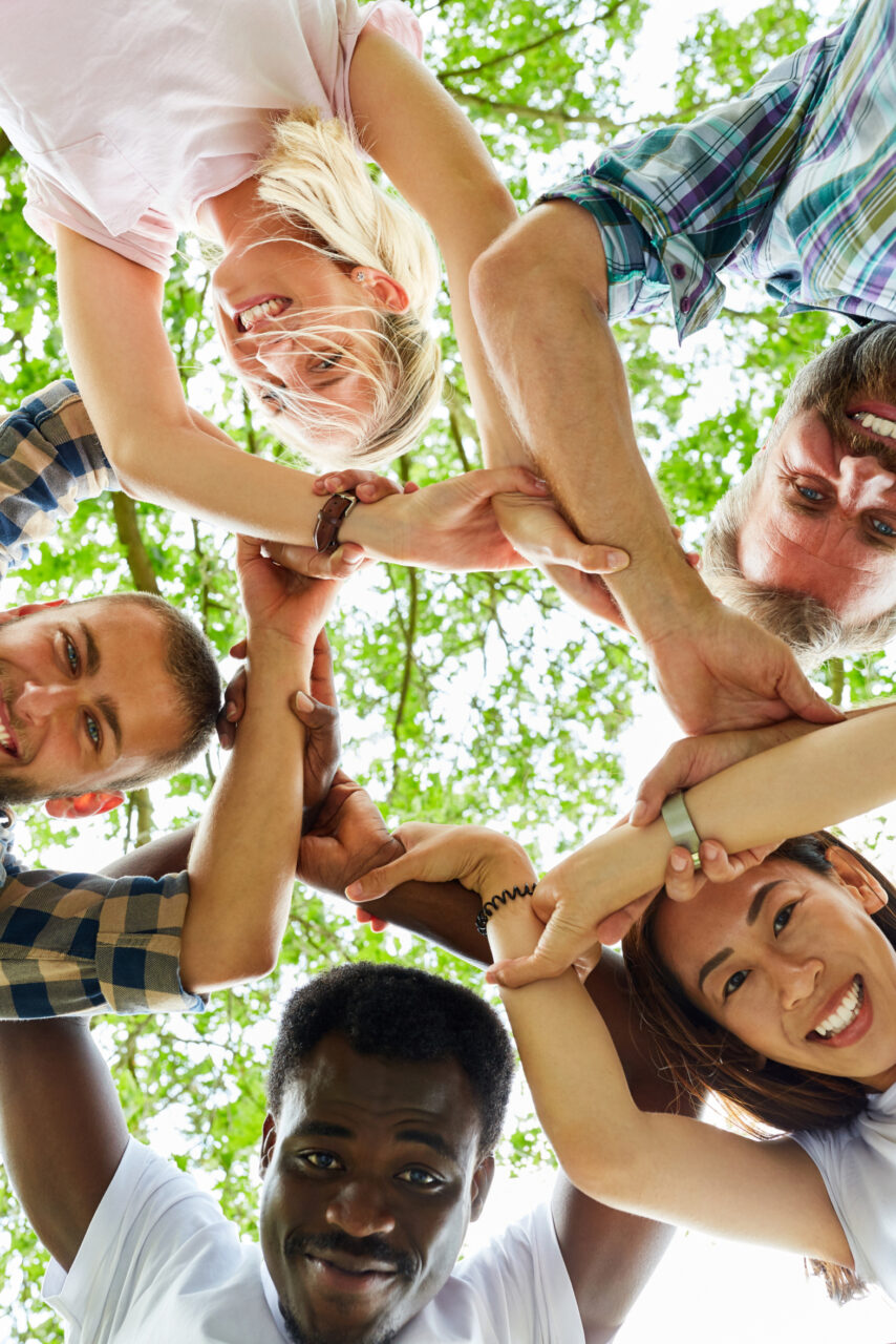 LinguaTracks Connect - LinguaTracks